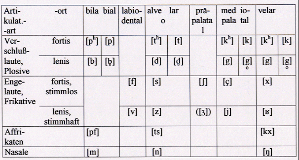 Script zum Seminar Einführung in die Linguistik Prof. Dr. M. Schecker
